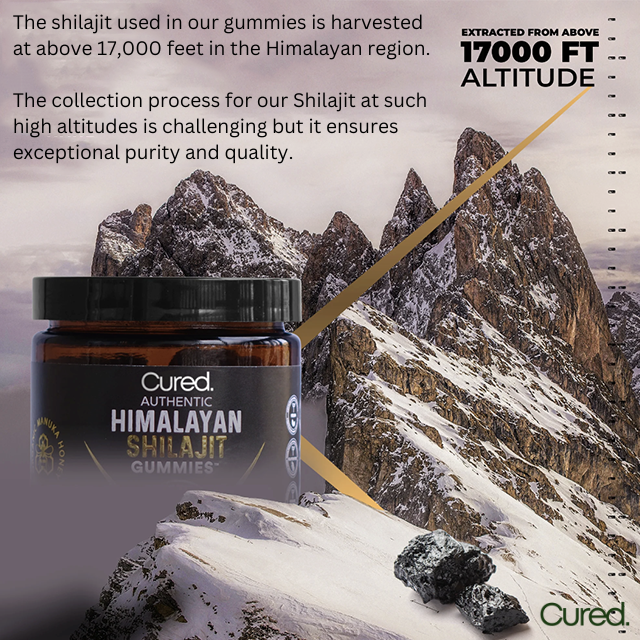 CURED® Authentic Shilajit Gummies – Cured
